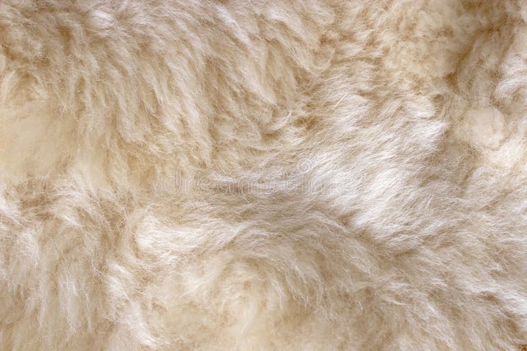 5,137 Sheep Skin Texture Stock Photos - Free & Royalty-Free Stock ...