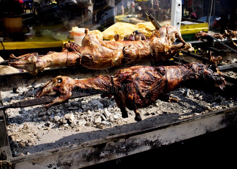 Sheep on a spit stock photo. Image of lamb, temperature - 74420520