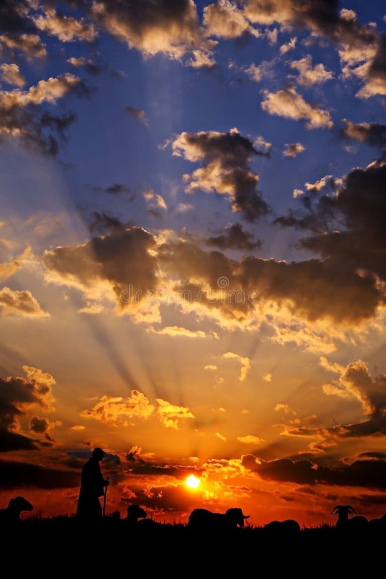 2,058 Ram Silhouette Stock Photos - Free & Royalty-Free Stock Photos ...