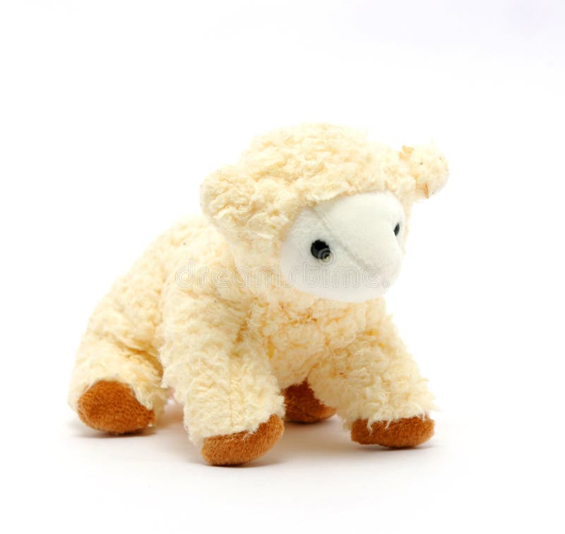 Little lamb - toy stock image. Image of wool, cuddle, spring - 506749
