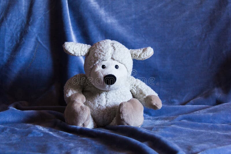 Sheep toy-2 stock photo. Image of blue, isolated, cute - 95726642