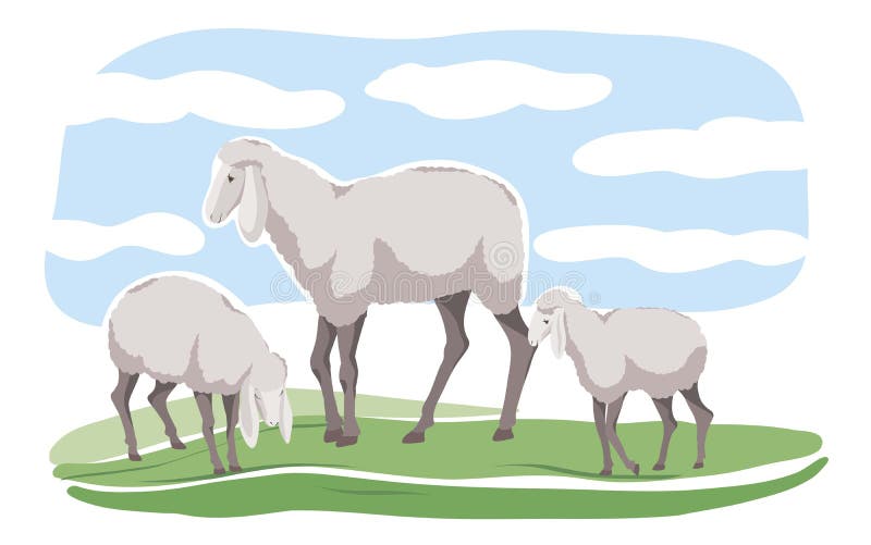 Sheep and Two Lambs Standing in a Clearing Stock Vector - Illustration ...