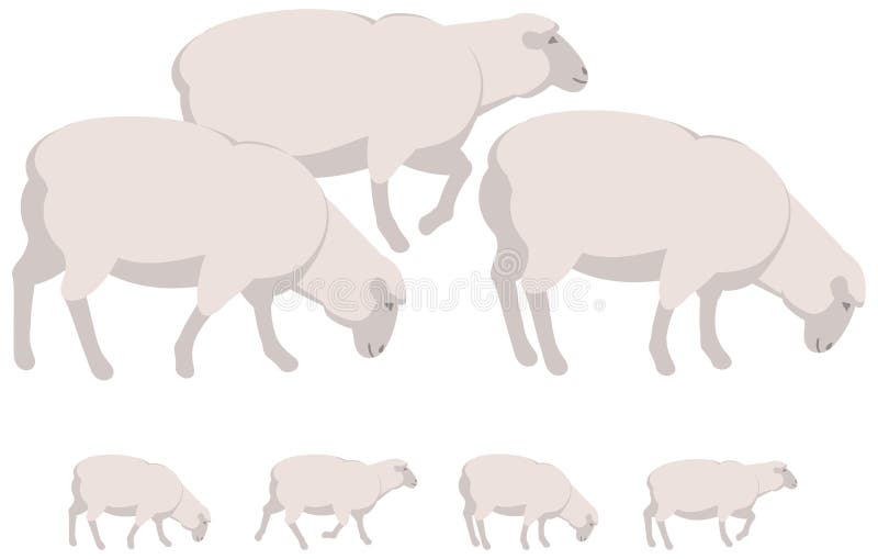 Sheep stock vector. Illustration of lamb, toed, ruminant - 93144879