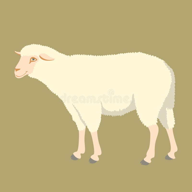 Sheep Young Flat Style Vector Illustration Profile View Silhouette ... Sheep Young Flat Style Vector Illustration Profile View Silhouette ...