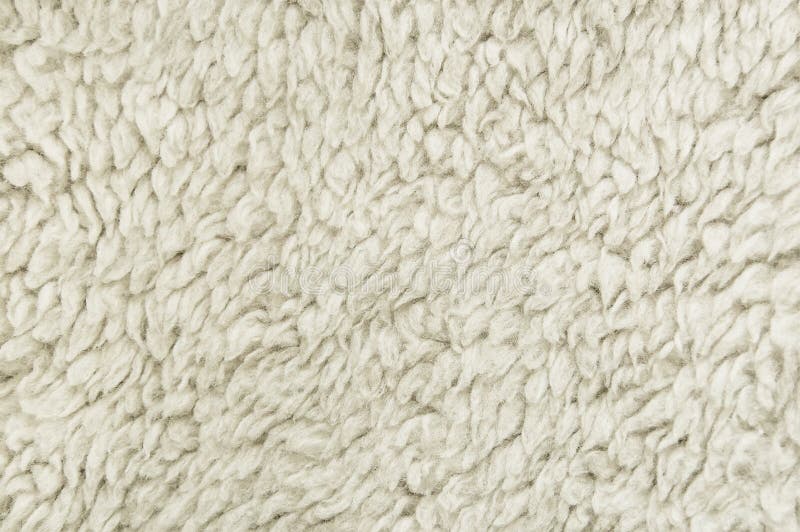 Sheep White Wool Background Texture Stock Image - Image of insulation ...