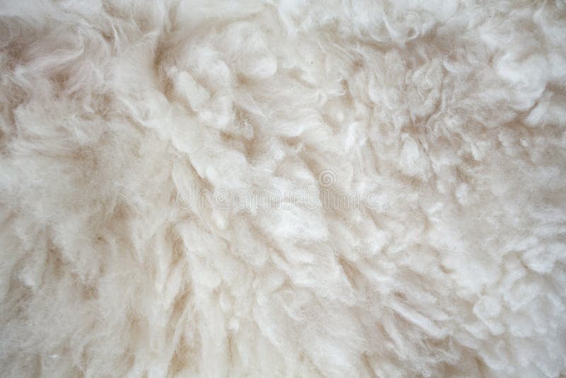 80,196 Sheep Wool Stock Photos - Free & Royalty-Free Stock Photos from ...