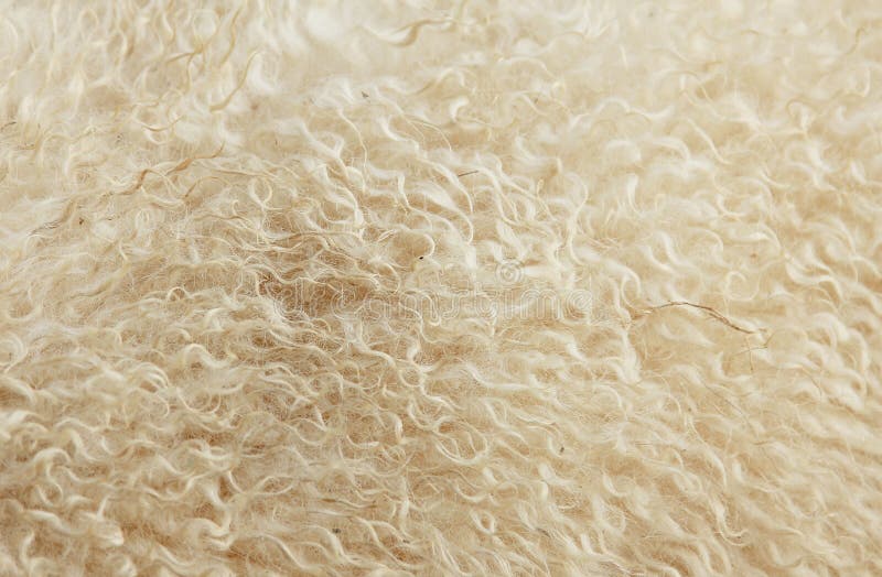 Sheep wool background stock image. Image of warm, natural - 44407167