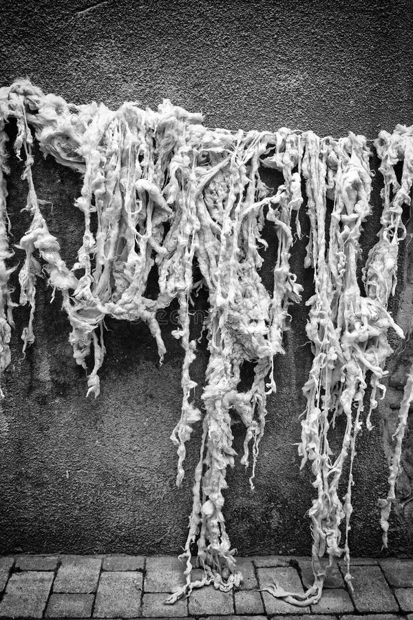 Sheep wool stock photo. Image of hair, fiber, macro - 177748856