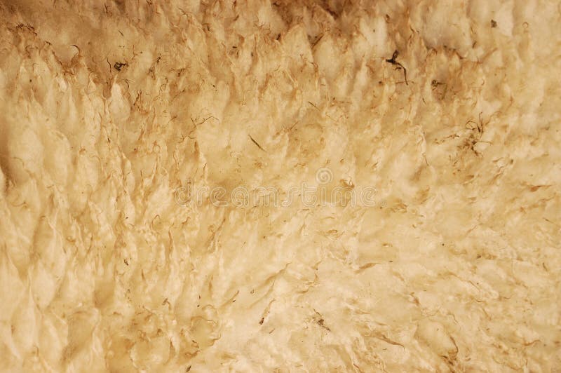 Sheep wool stock photo. Image of shelter, texture, cloth - 46690888