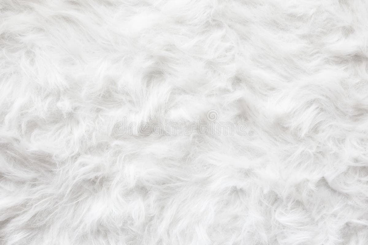 4,782 Sheep Hair Texture Stock Photos - Free & Royalty-Free Stock ...