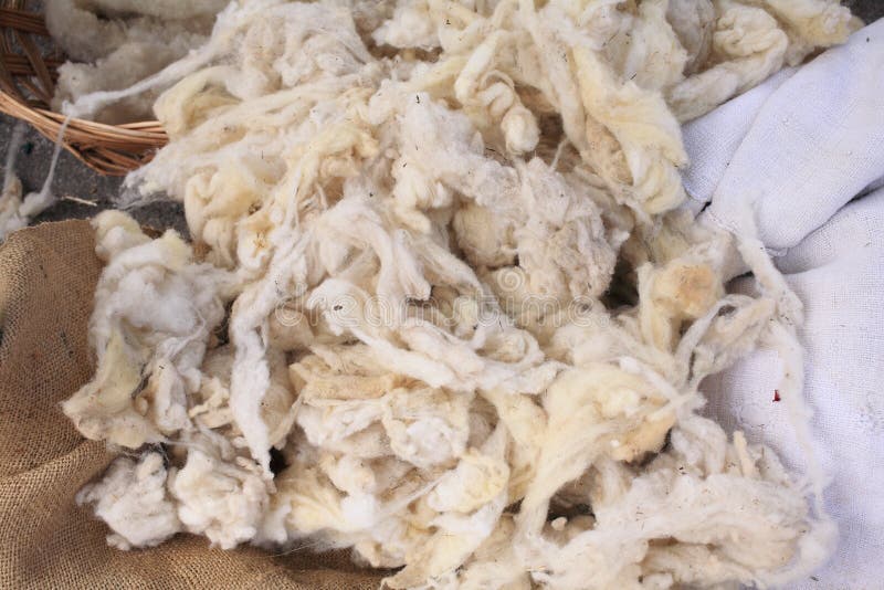 Sheep wool stock image. Image of knit, cloth, detail - 49023527