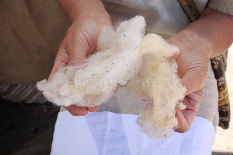 Sheep wool stock image. Image of weave, cloth, clothing - 49024063