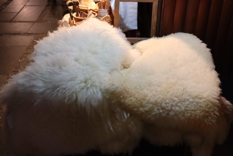 Sheep wool hide stock photo. Image of objects, street - 170868030