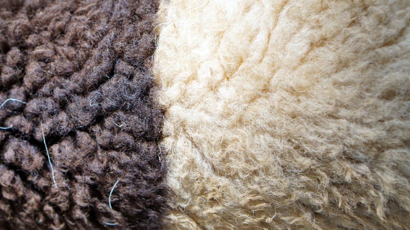 Sheep wool texture stock photo. Image of closeup, natural - 46783858