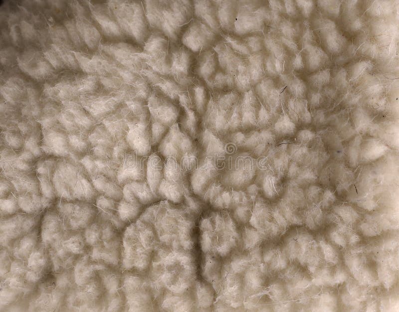Sheep wool texture white stock image. Image of detail - 100808497