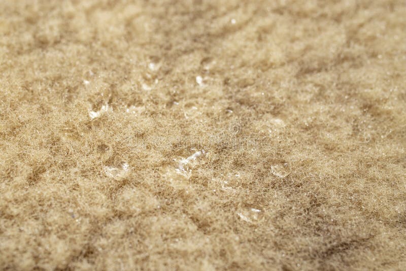 Sheep Wool with Water Drops, Soft Focus Close Up, Abstract Texture ...