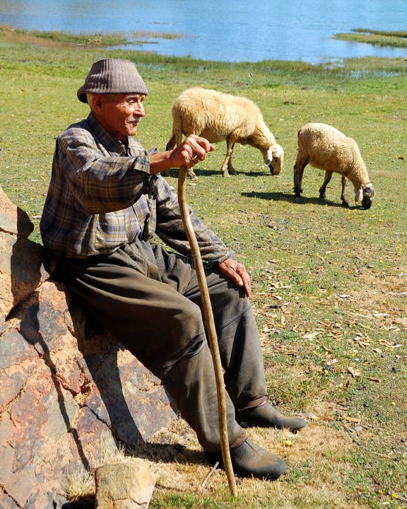 Sheepman and sheep editorial photo. Image of culture - 17843131