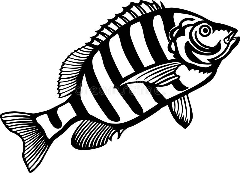 Sheepshead - American Fishes - Logo Fish Vector, Fish Stencil Stock ...