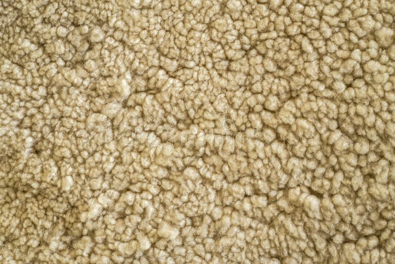Sheepskin Lining stock photo. Image of wool, fuzzy, texture - 22492854