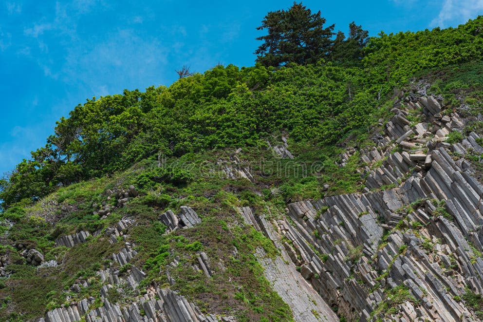 Sheer Basalt Cliffs Overgrown with Lush Vegetation Stock Photo - Image ...