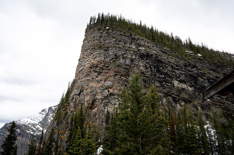Sheer rock cliff stock image. Image of outdoors, forest - 389568963