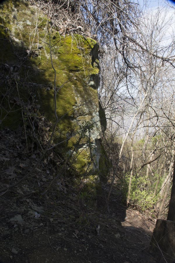 Rock face in shadow stock photo. Image of face, geological - 113832676