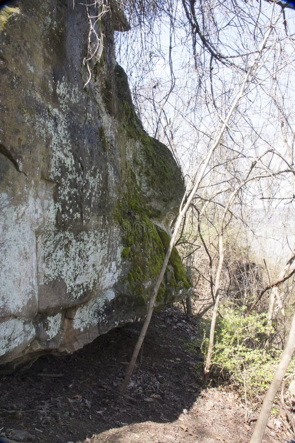 Rock face in shadow stock photo. Image of rock, trees - 113832718