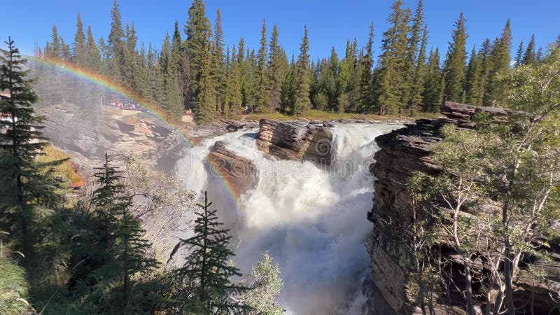 Sheer Volume and Force of the Athabasca River Tumbling Over a Wide ...