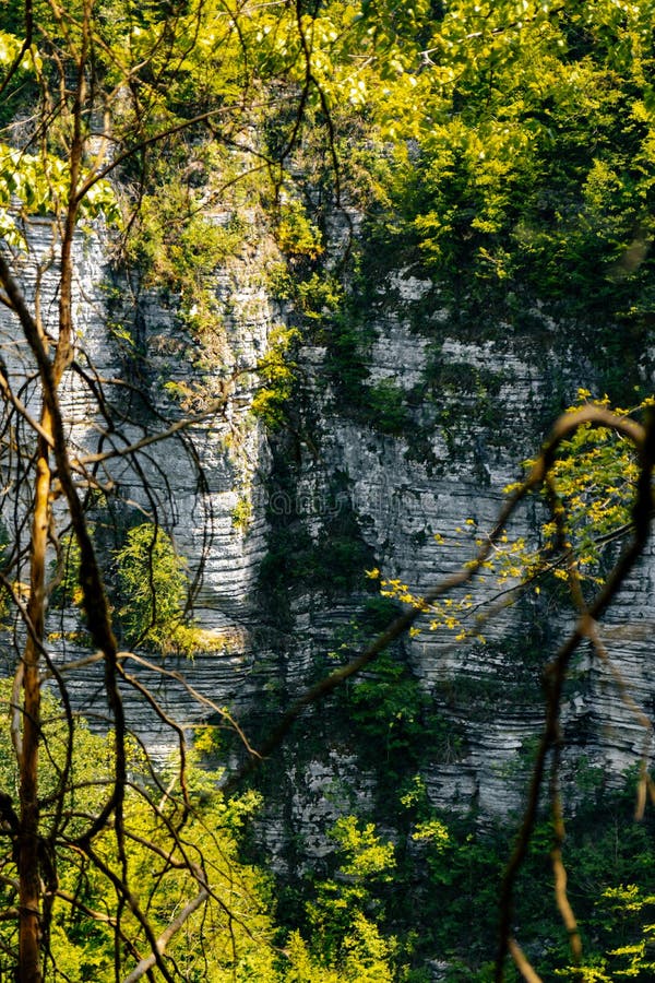 Sheer White Cliffs with Overhanging Greenery during the Day Stock Photo ...
