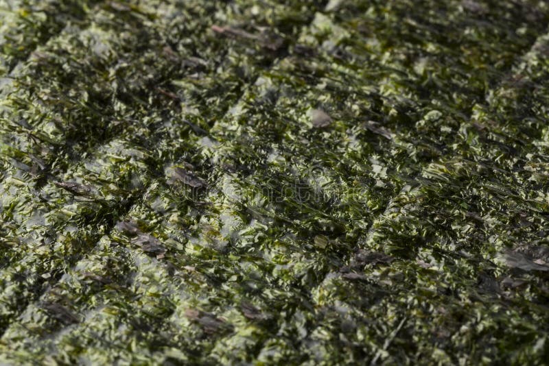 Sheet of dried green nori stock photo. Image of lifestyle - 144929556