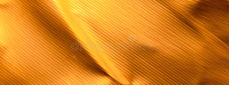 Sheet Metal Painted a Copper Color. Background or Textura Stock Photo ...