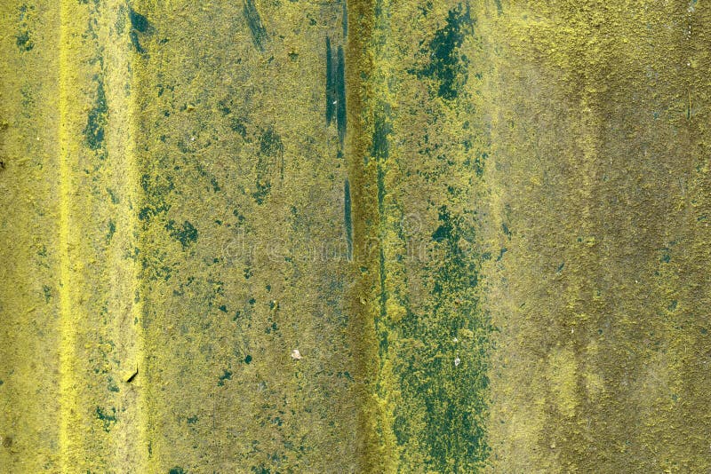 1,551 Moss Sheet Stock Photos - Free & Royalty-Free Stock Photos from ...