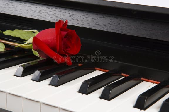 Sheet Music with Rose on Piano Stock Image - Image of note, ivory: 1170761
