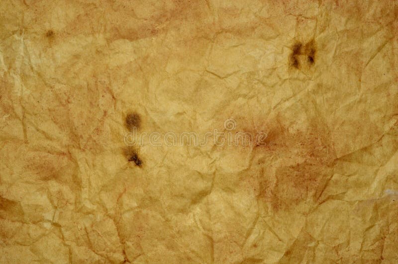 Sheet of Old Yellowed Rumpled Parchment Stock Photo - Image of grunge ...