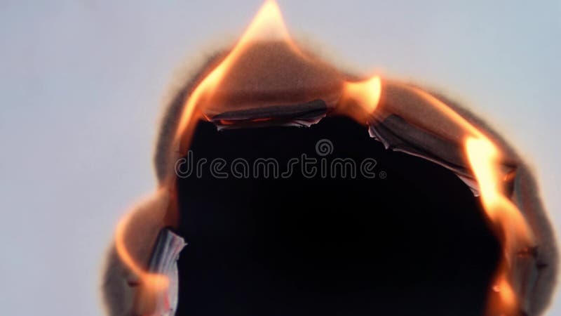Paper burns reverse. stock footage. Video of blaze, carbons - 102600906