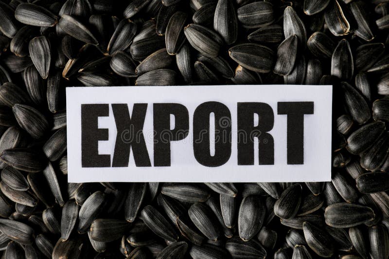 Sheet of Paper with Word Export on Sunflower Seeds, Top View Stock ...