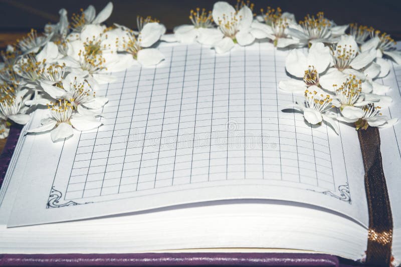 Writing on the Tree Trunk N+E. People in Love Stock Photo - Image of ...