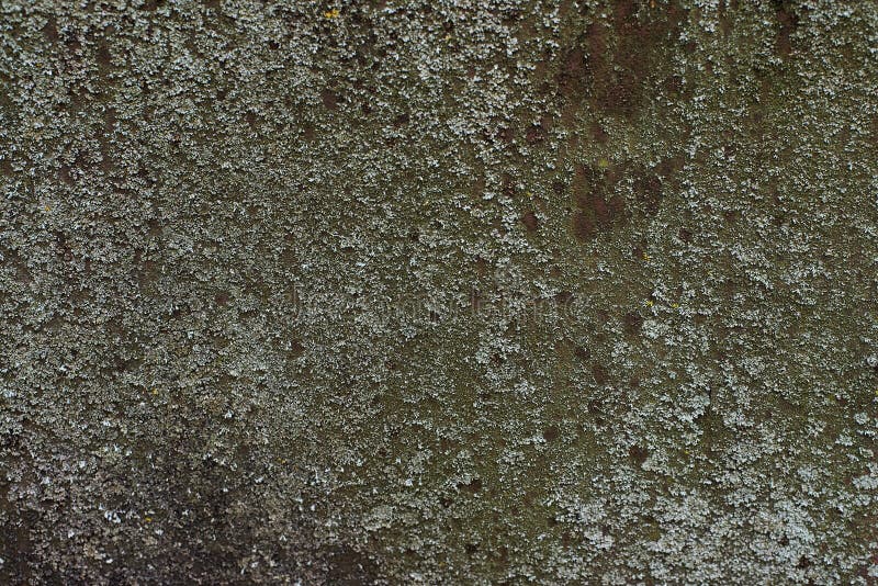 Rusty, Mossy and Aged Iron Gear from a Piece of Vintage Farm Equipment ...