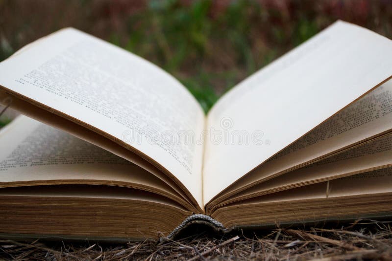 Sheets of an Open Book Close-up, an Open Book on Nature, Reading a Book ...