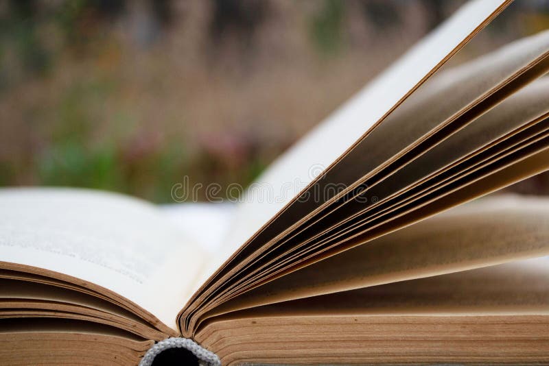 Sheets of an Open Book Close-up, an Open Book on Nature, Reading a Book ...