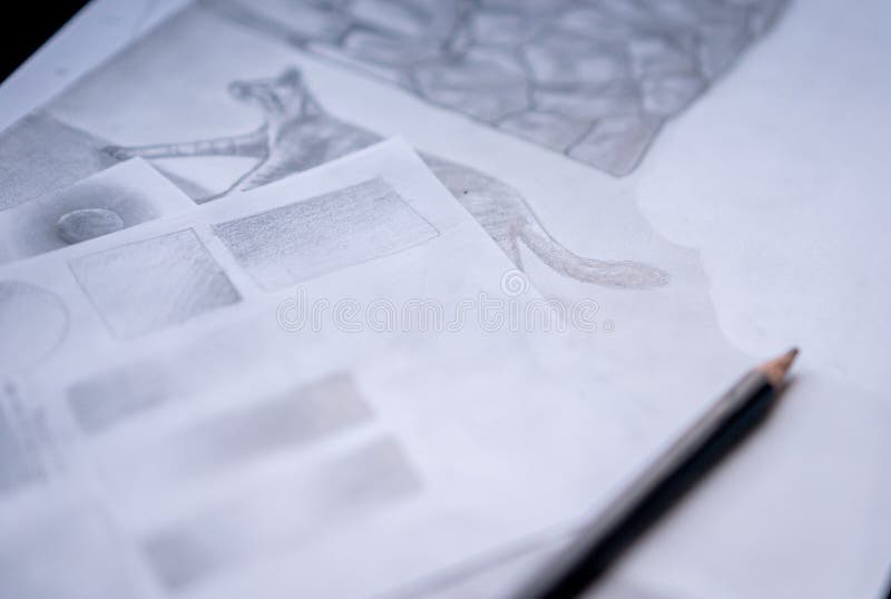 Sheets with Pencil Drawings with Concept in Close Up Stock Image ...