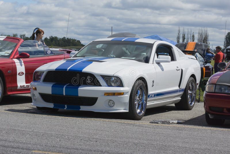 Shelby Ford Mustang Blanca GT350 Imagen de archivo - Imagen de mustango ...