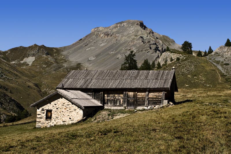 Shelder stock image. Image of walking, walk, pasture - 19047233
