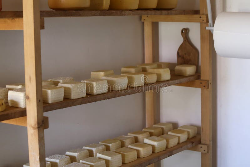 Shelf with Many Forms of Fresh Cheese during the Ripening Proces Stock ...