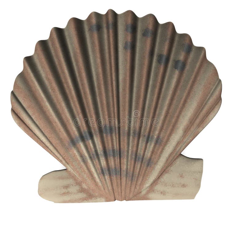 Render Shell Stock Illustrations – 7,660 Render Shell Stock ...