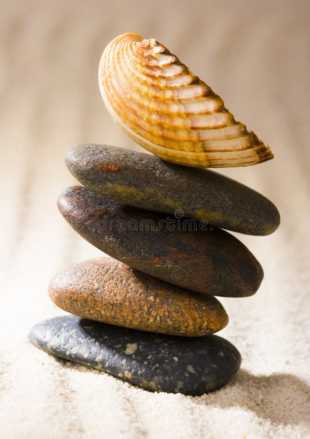 Shell stock image. Image of marine, exoskeleton, shells - 2077429