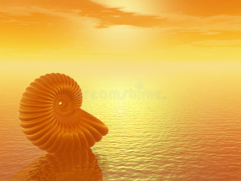 Gold Sea Shell Stock Illustrations – 4,063 Gold Sea Shell Stock ...