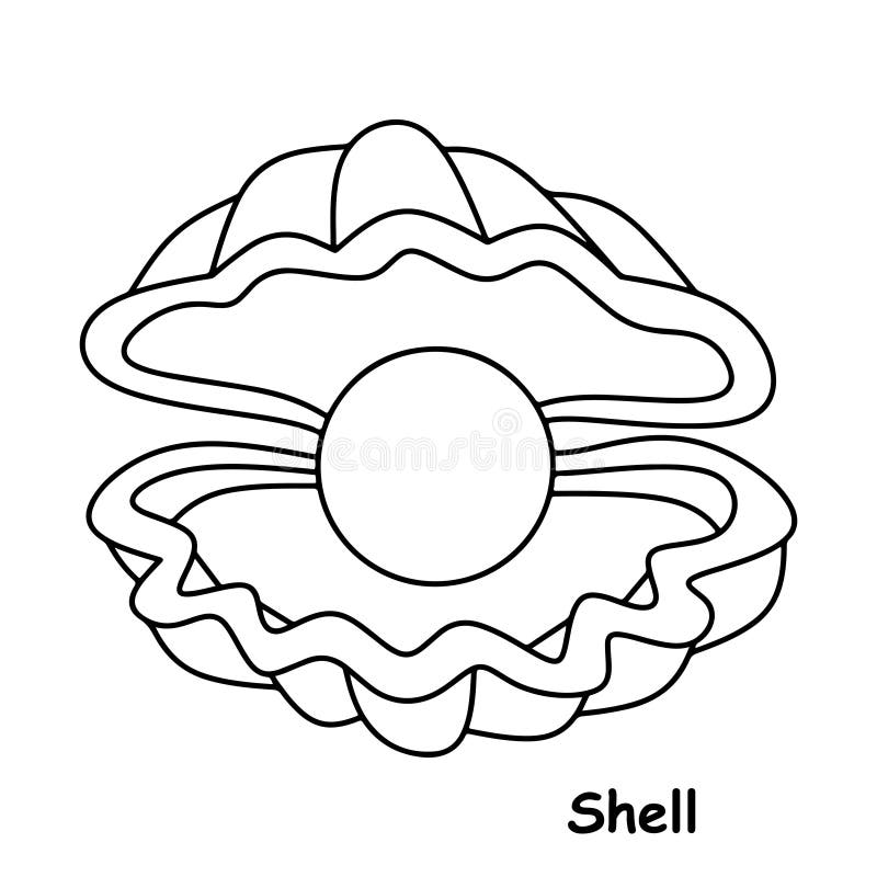 Shell Line Illustration Animal Vector Stock Vector - Illustration of ...
