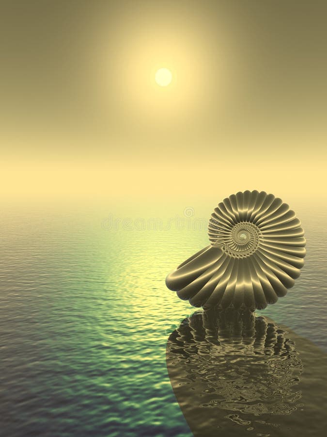 Shell Nature Stock Illustrations – 107,335 Shell Nature Stock ...