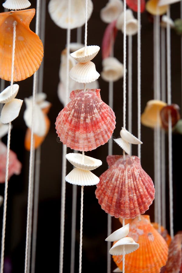 Fishing net with shells stock photo. Image of fishing - 6750084